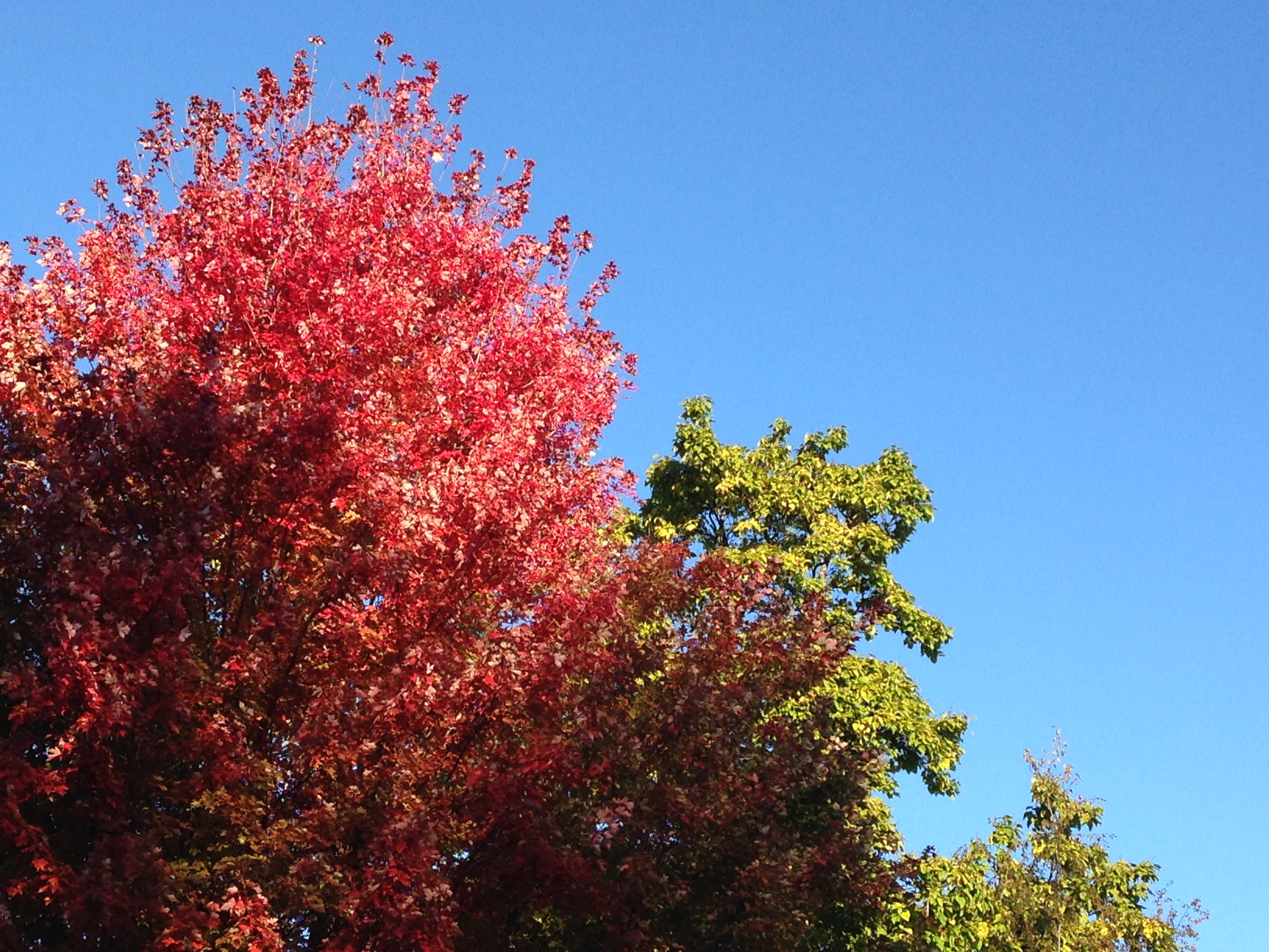 Fallow ground - LoraDow.com